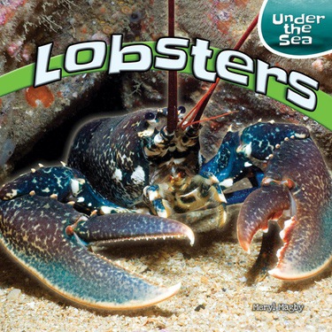 Under the Sea | Rosen Classroom