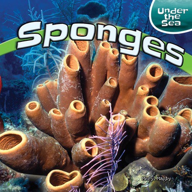 Under the Sea | Rosen Classroom